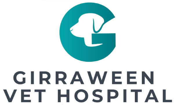 Get Professional Veterinary Care near Coolalinga, NT